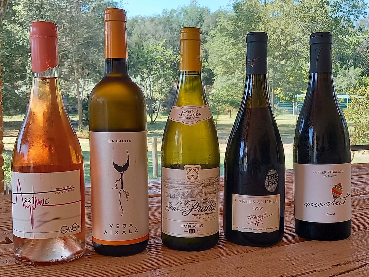 Vins amb caràcter propi: 5 grans referències de la Conca de Barberà ...